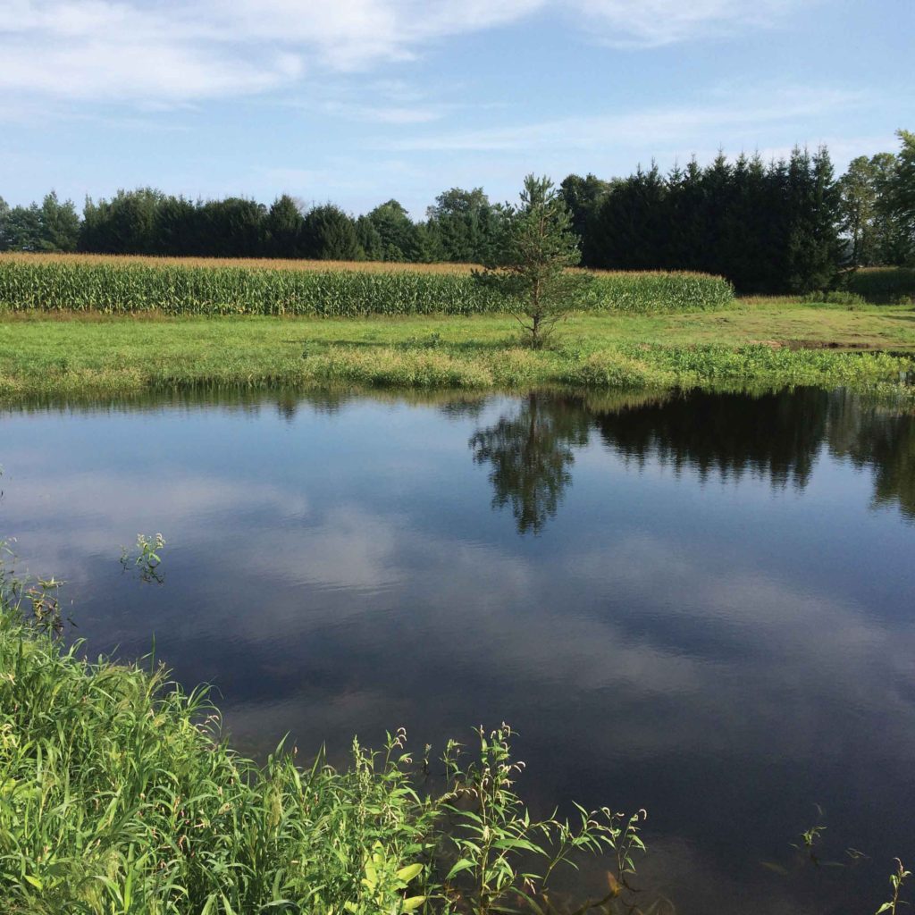 Farm Wetlands & Phosphorus – St. Clair Region Conservation Authority