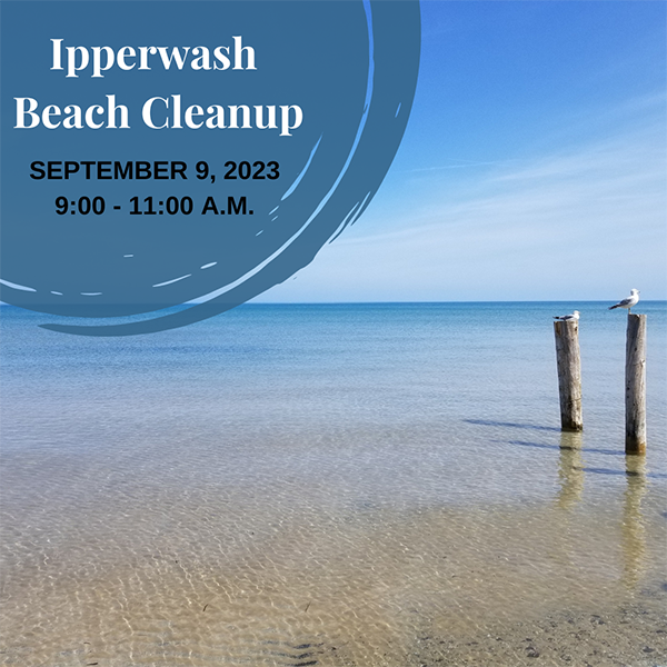 Ipperwash Beach Cleanup – St. Clair Region Conservation Authority
