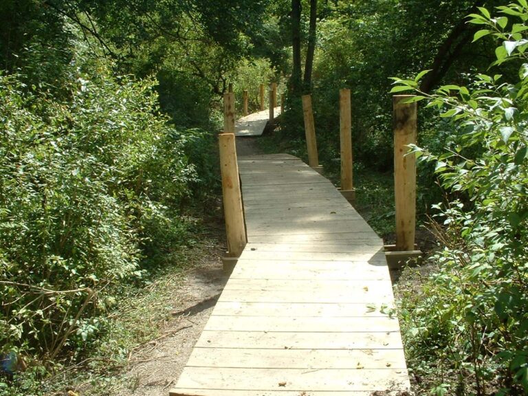 Strathroy Conservation Area Remains Closed – Updated July 19th, 2024 ...